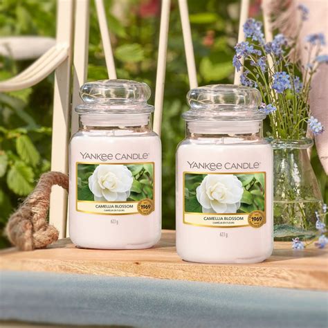 Buy Yankee Candle Original Large Jar Scented Candle Camellia Blossom