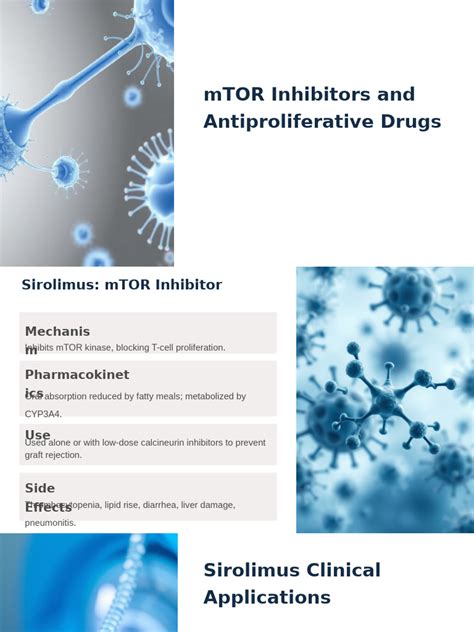 Mtor Inhibitors And Antiproliferative Drugs Pdf Medical Specialties