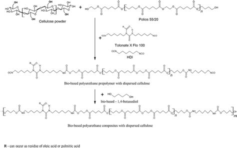 Preparation Of Bio Based Polyurethane Composites Download Scientific Diagram