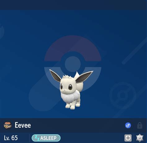 [9] Eevee Weekend Was Very Eventful R Shinypokemon