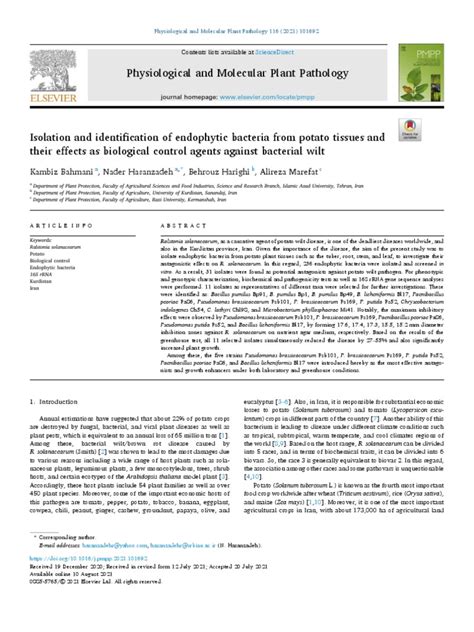 Isolation And Identification Of Endophytic Bacteria From Potato Tissues And Pdf Bacteria