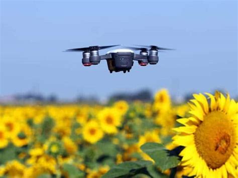 What Is An Xmp File 9 Ways To Open And Use It • Storyteller Tech