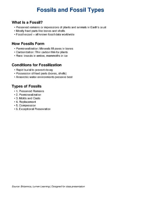 Fossils And Fossil Types A Class Presentation Overview Studocu
