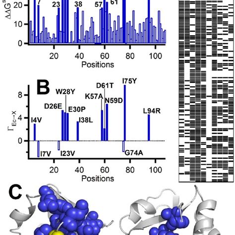 Statistical Coupling Analysis Of The Emergence Of Folding Catalysis