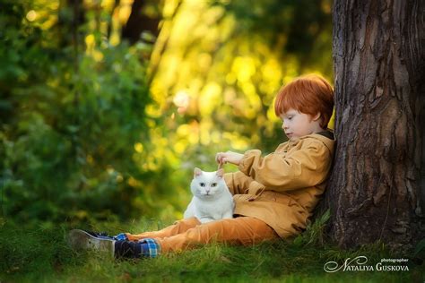 Рыжий мальчик белый кот Белый кот Рыжий мальчик Фотограф