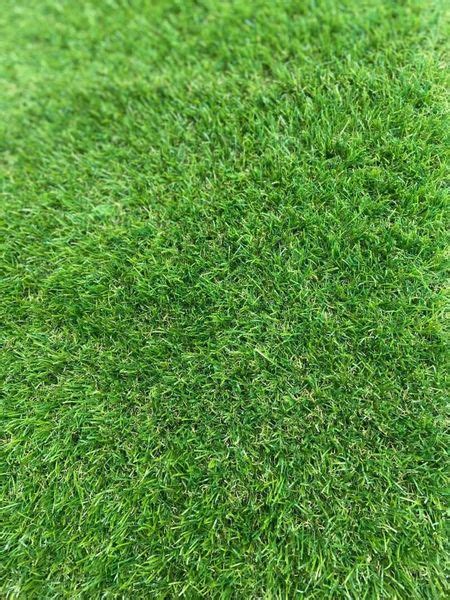 Artificial Grass Cool Grass