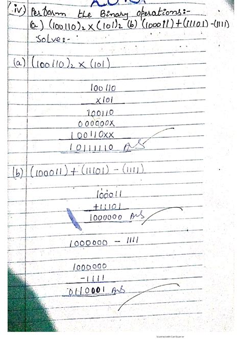SOLUTION Binary Number System Studypool