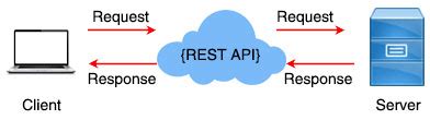 CCNA Training REST API Tutorial