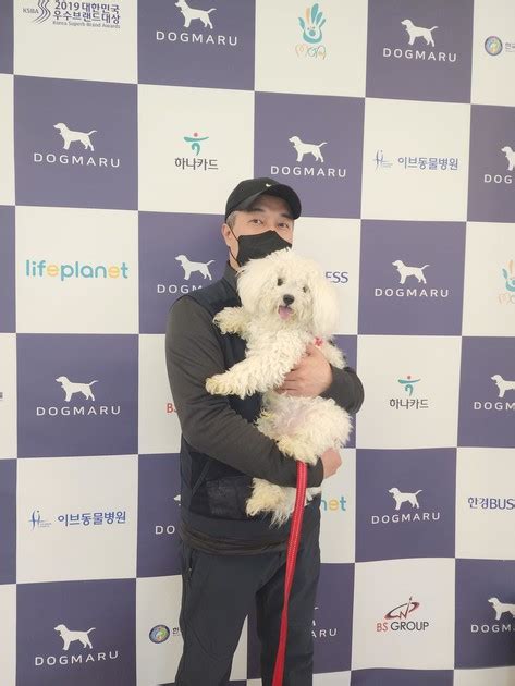 비숑프리제 구름이 티컵말티푸분양하는곳 티컵푸들분양하는곳 티컵강아지분양하는곳 화이트비숑프리제분양 화이트포메라니안분양 화이트말티즈