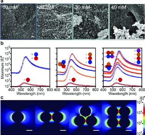 Dependence Of Plasmonic Enhancement On Clustering Extent A Sem Download Scientific Diagram
