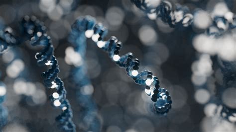Nanopore Based Dna Long Read Sequencing Analysis Of The Aged Human Brain