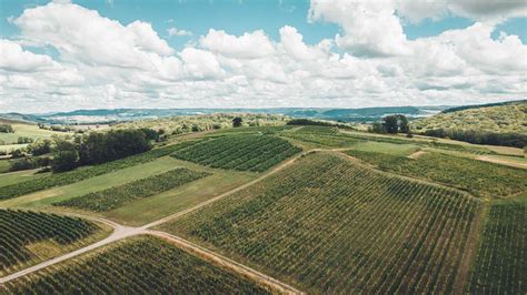Domaine Laura Bourdy à Arlay Jura Jura Tourisme