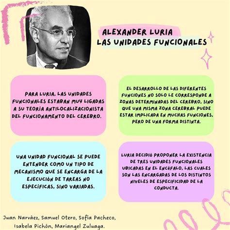 Alexander Luria Las Unidades Funcionales