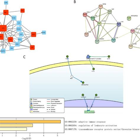 Regulatory Network Construction Of Tf Key Genes And Analysis Of Key