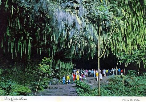 Kauai Blockbuster Thriller Jurassic Park Film Spot And Oldest Of The