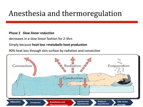 Temperature Regulation Under Anesthesia Ppt First Aid Injuries