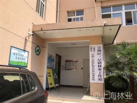 2”！市级标准化林业工作站再添新成员澎湃号·政务澎湃新闻 The Paper