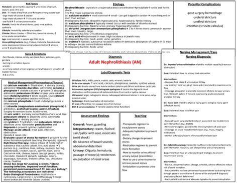 Adult Nephrolithiasis Concept Map References Nursing Managementcare