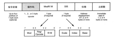 X86指令格式 Csdn博客
