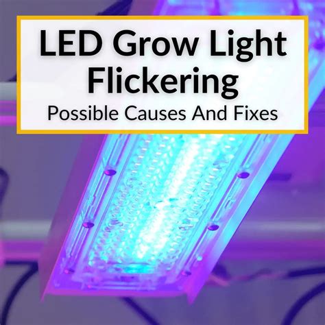 Led Grow Light Flickering Possible Causes And Fixes