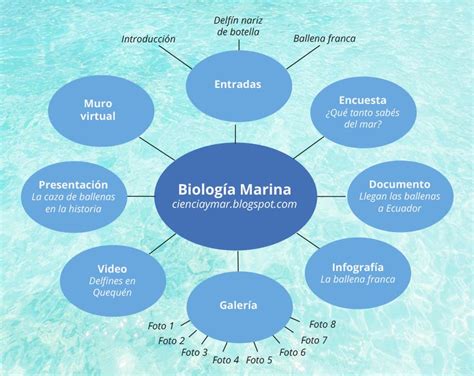 Mapa Mental De Biologia Filo Artr Podes Ci Ncias Biol Gicas Mapa Hot