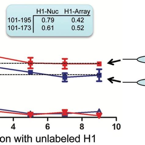 H1 Ctd Conformation In Nucleosome Arrays Is Distinct From That In
