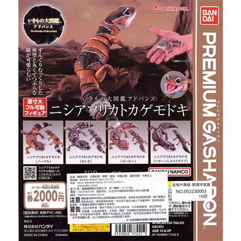 御宅族 Bandai Premium 代理 轉蛋 扭蛋 生物大圖鑑 肥尾守宮篇 全4種 現貨 蝦皮購物