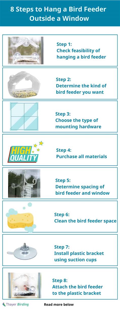 How To Hang A Bird Feeder Outside A Window Step By Step