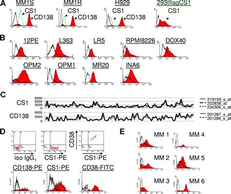 Cs1 Expression In Mm Cell Lines And Patient Mm Cells A Mm1s Mm1r