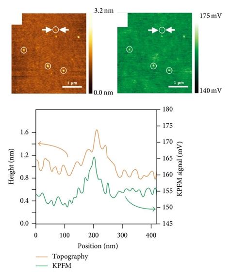The Afm Topographic Image And The Corresponding Kpfm Image Of A Download Scientific Diagram