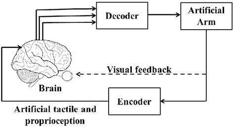 Figure 1 From Designing Closed Loop Brain Machine Interfaces Using