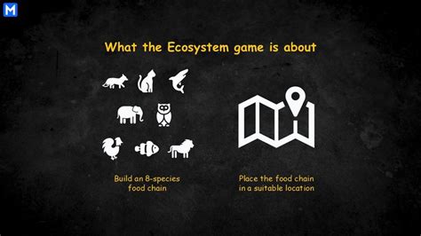 Mckinsey Solve 2025 Ecosystem Deep Dive Mconsultingprep