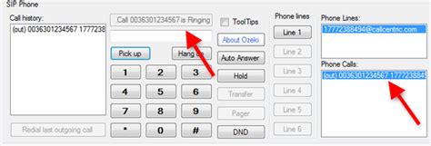 Callcentric Setup