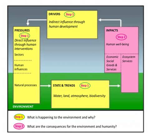The Four Components Of The Dpsir Model Of Ecosystem State And Function Download Scientific Diagram