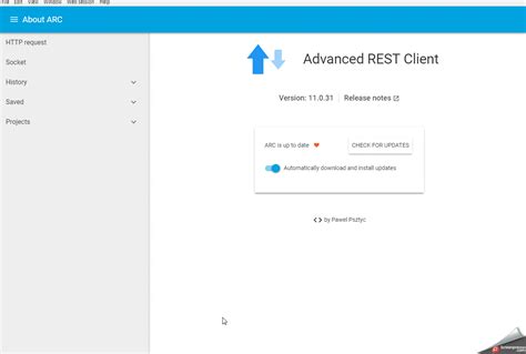 In The Desktop Version Of The ARC Only The First Tab Works Issue Advanced Rest Client