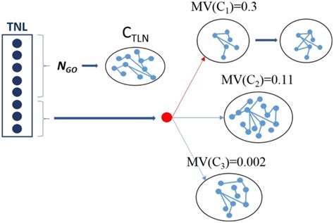 Mtgo Ppi Network Analysis Via Topological And Functional Module Identification Scientific Reports