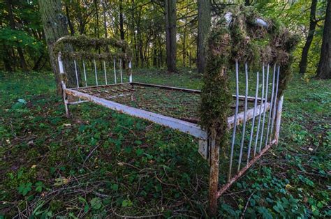 Premium Photo Empty In Forest