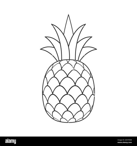 Pineapple Clip Art Outline