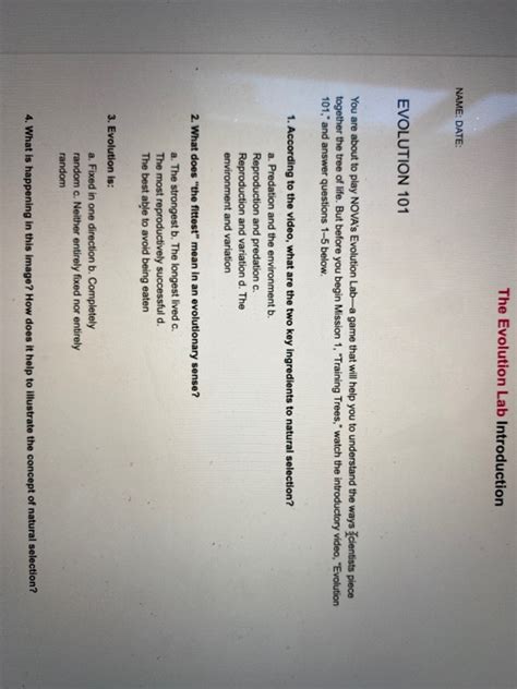 Solved The Evolution Lab Introduction Name Date Evolution