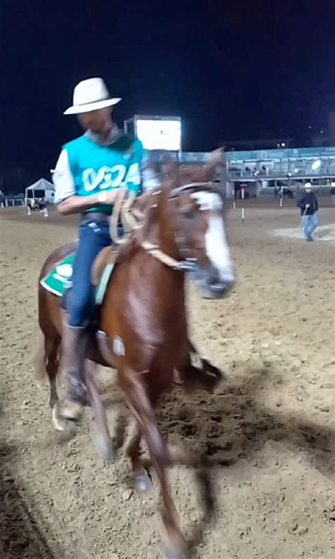 FERVEÇÃO Boate Nosso Haras montada na 40ª Exposição do Cavalo