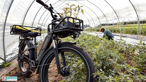 Radrover 6 Plus Electric Fat Tire Bike Review