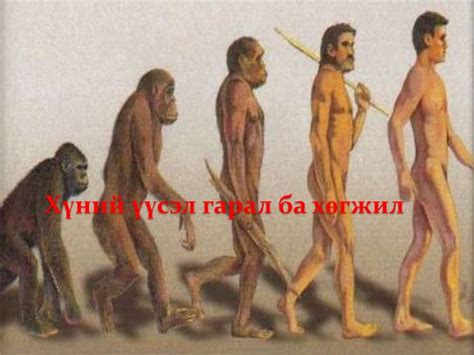 хүний үүсэл гарал Pdf