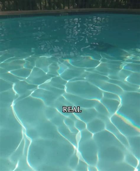 Danre🦦 Danre54s Videos With Goodies Edit Audios Tiktok