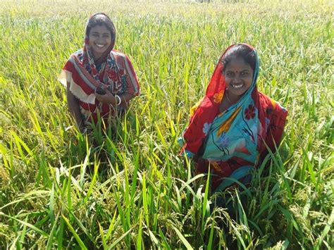 How Climate Resilient Farming Is Empowering Women Logic