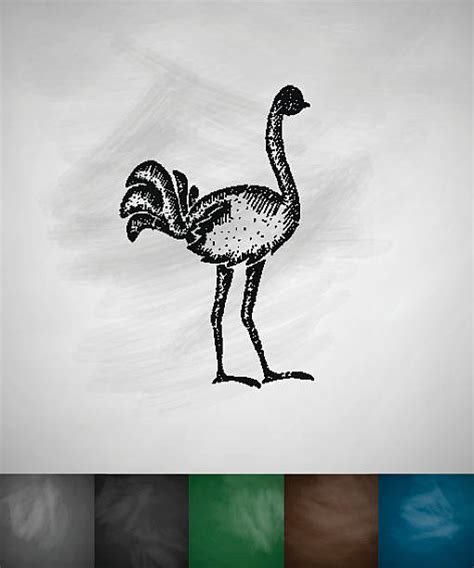 Goiter Backgrounds Illustrations Royalty Free Vector Graphics And Clip