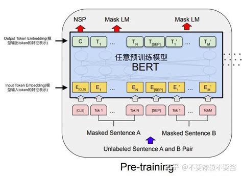 Bert的预训练和微调的区别 知乎