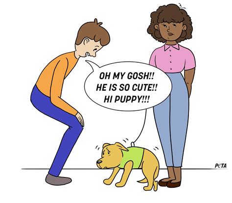 How To Greet A Dog 4 Dos And 4 Donts June 2022 Peta