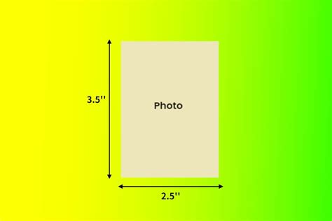What Size Is A Wallet Photo