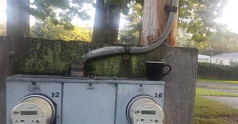 Same Guy Asked Me If I Knew Why His Water Heater Stove And Baseboards