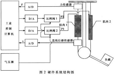 基于气动人工肌肉的双足机器人关节设计 人工肌肉 中国工控网